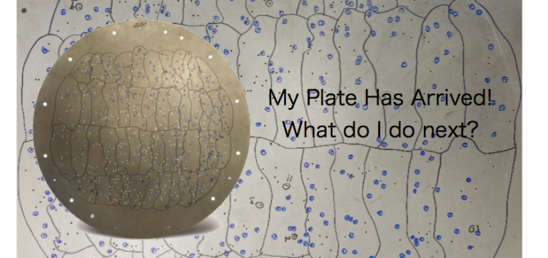 My Plate – Voyages
